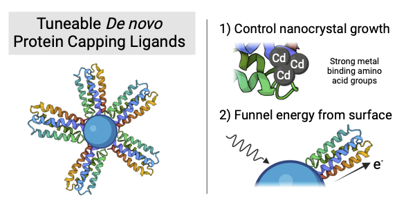 Projects – Spangler Lab